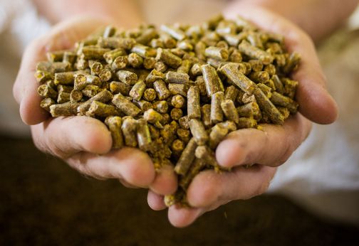 Futtermittel kaufen: Entdecken Sie hochwertige Tiernahrung